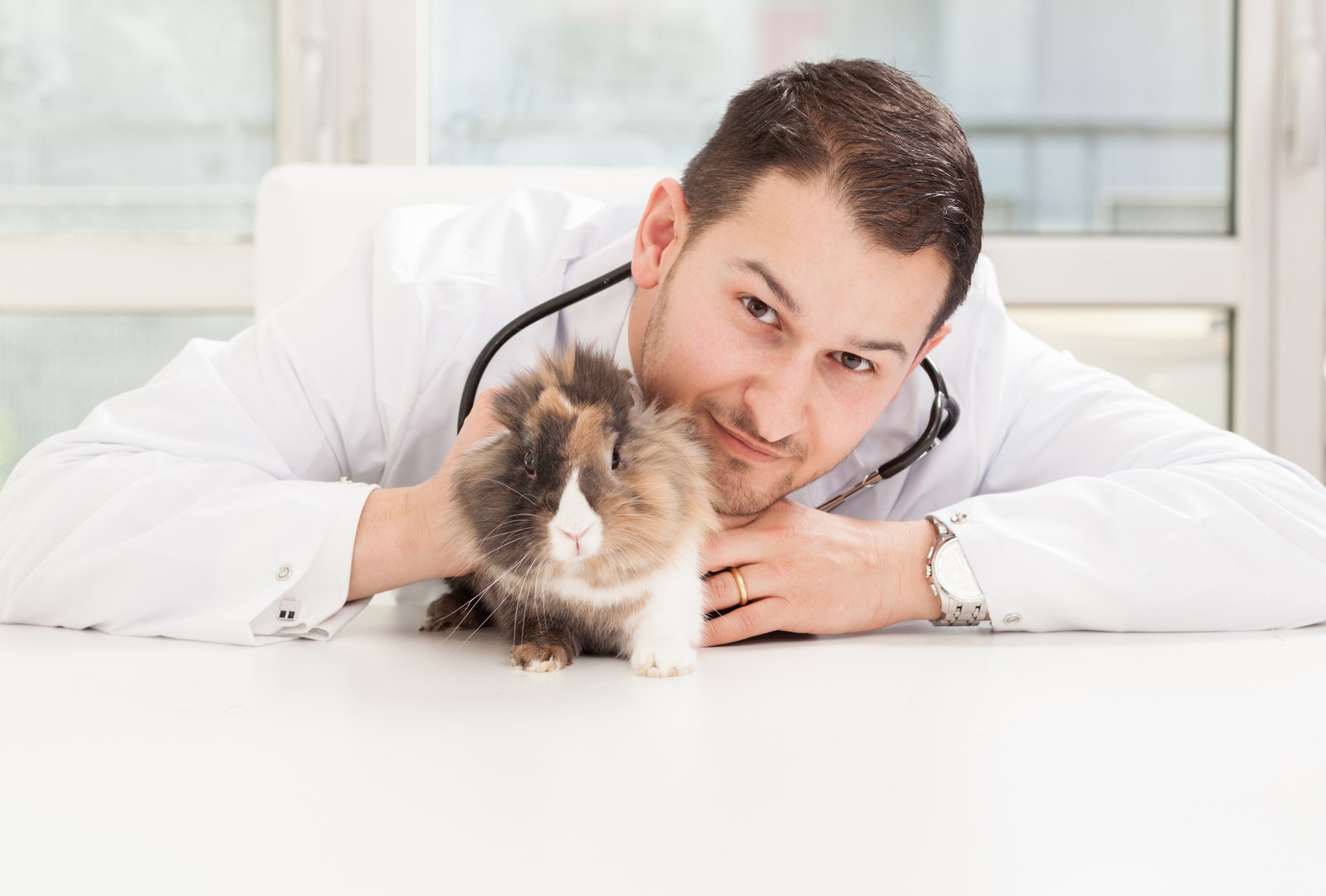 Reproduction - Elarduspark Animal Clinic